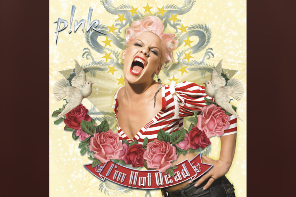 Pink: Dear Mr. President (Ft. Indigo Girls) - What Does That Song Mean?